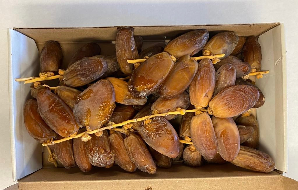 1 LB Deglet Noor Dates from Algeria 100% Natural, Nutritional Properti ...